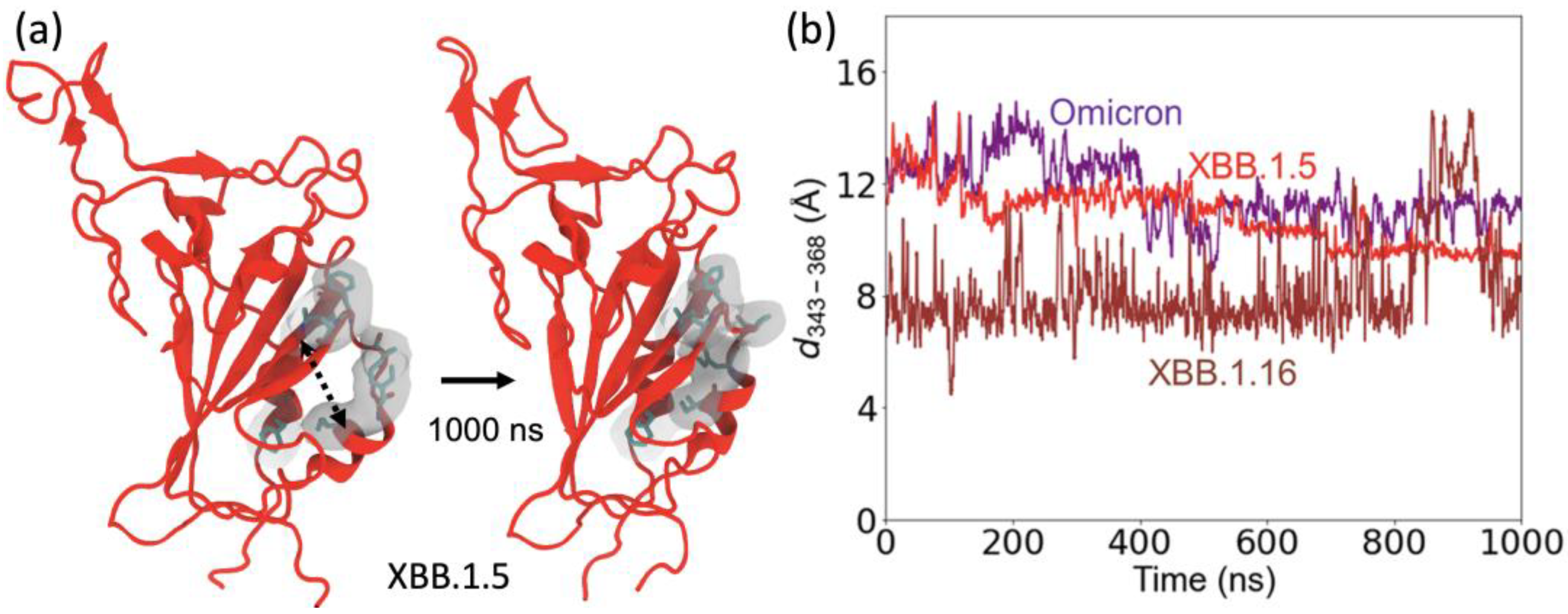Distinctive Features of the XBB.1.5 and XBB.1.16 Spike Protein Receptor ...