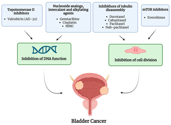 BCG-Unresponsive Non-Muscle-Invasive Bladder Cancer: Current Treatment Landscape and Novel ...