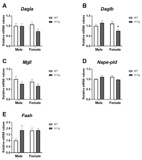 Ijms Free Full Text Sex Dependent Altered Expression Of Cannabinoid