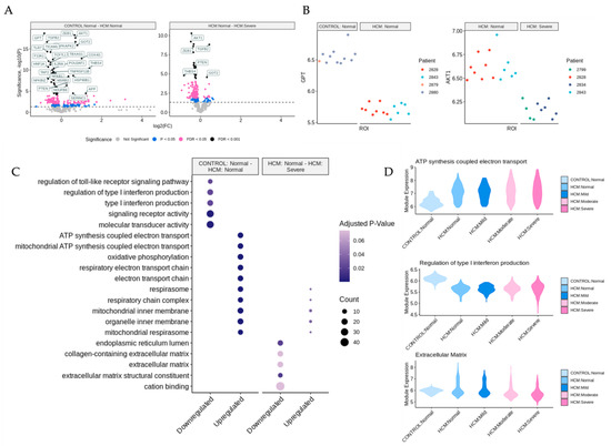 Spatial Transcriptomic Analysis of Focal and Normal Areas of Myocyte ...