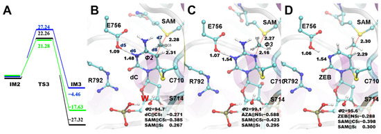 Insights into the Inhibitory Mechanisms of the Covalent Drugs for DNMT3A