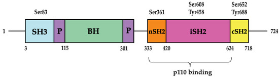 The Role of PIK3R1 in Metabolic Function and Insulin Sensitivity
