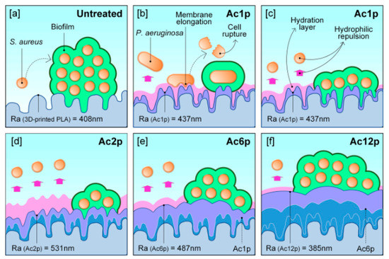 Non-Thermal Plasma Application in Medicine—Focus on Reactive Species ...