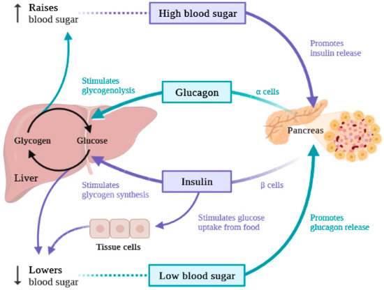 Diabetes Mellitus Secondary to Endocrine Diseases: An Update of ...