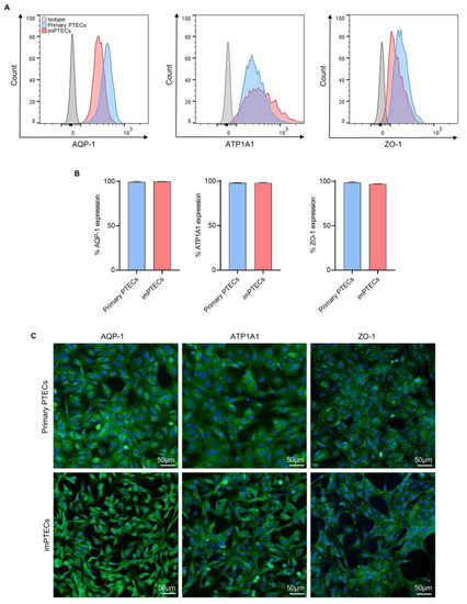 Downregulation of Swine Leukocyte Antigen Expression Decreases the ...