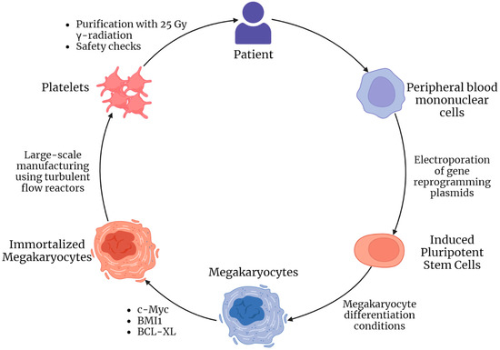 Practical Use of Immortalized Cells in Medicine: Current Advances and ...