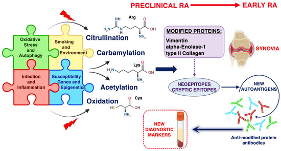 IJMS | Free Full-Text | The Role of Autophagy as a Trigger of Post-Translational Modifications ...