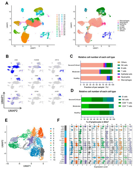IJMS | Free Full-Text | Epithelial Galectin-3 Induced the Mitochondrial ...