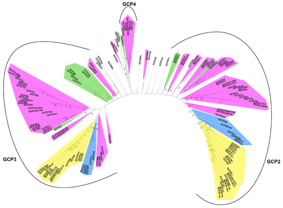 Analysis of Predicted Amino Acid Sequences of Diatom Microtubule Center ...