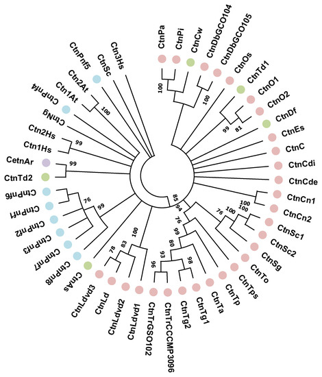 Analysis of Predicted Amino Acid Sequences of Diatom Microtubule Center ...