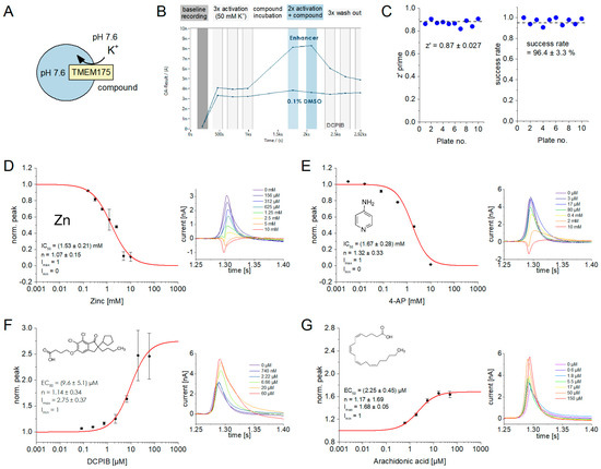 A Comparative Study on the Lysosomal Cation Channel TMEM175 Using ...