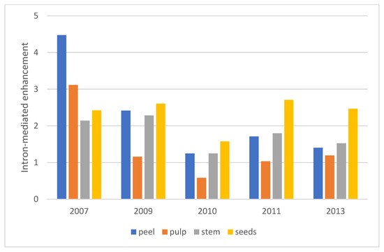 IJMS | Free Full-Text | Impact of Intron and Retransformation on ...