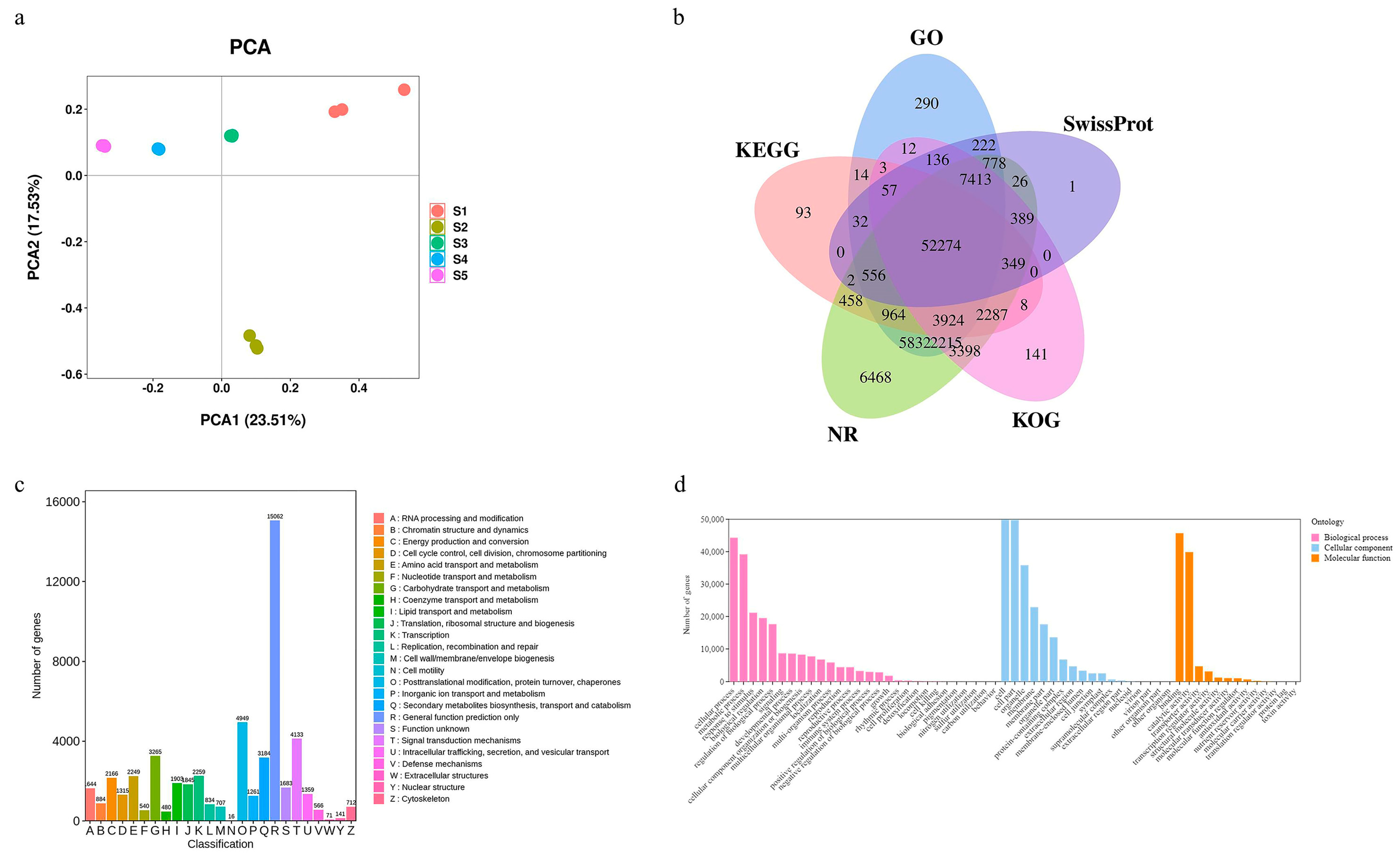Widely Targeted Metabolomic Profiling Combined with Transcriptome ...