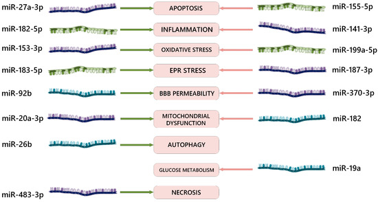 The Role of microRNAs in Epigenetic Regulation of Signaling Pathways in ...
