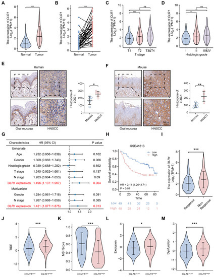 OLR1 Is a Pan-Cancer Prognostic and Immunotherapeutic Predictor ...
