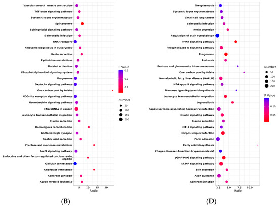 Genomic Scan for Runs of Homozygosity and Selective Signature Analysis ...