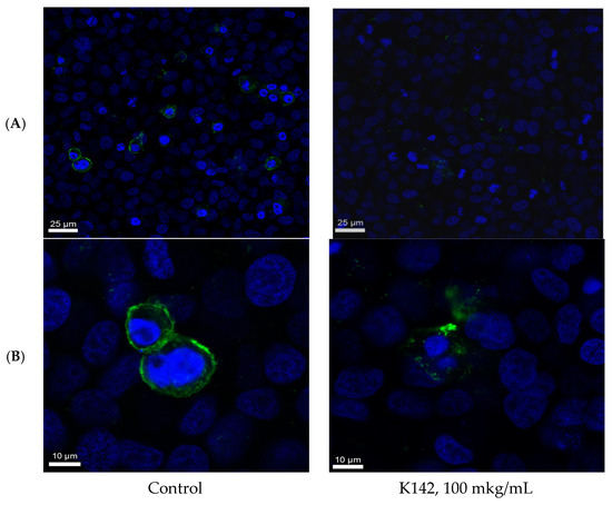 Identification and Study of the Action Mechanism of Small Compound That ...