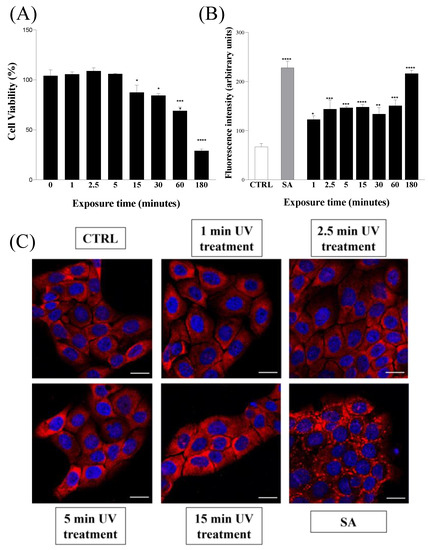 Simultaneous Irradiation with UV-A, -B, and -C Lights Promotes ...