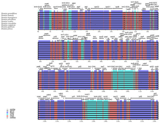 Analysis of the RNA Editing Sites and Orthologous Gene Function of ...