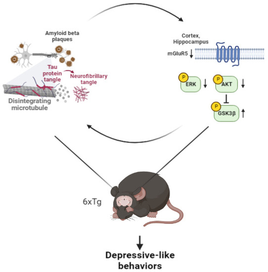 Depressive-like Behaviors Induced by mGluR5 Reduction in 6xTg in Mouse ...