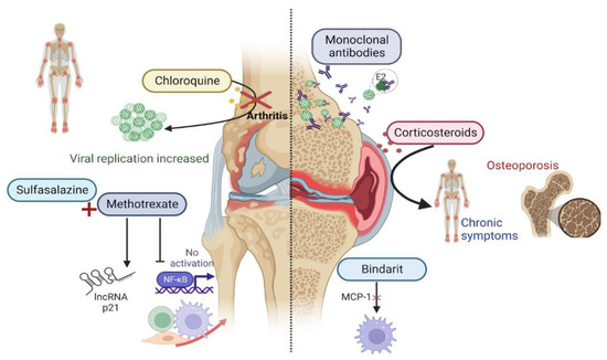 Multiple Factors Involved in Bone Damage Caused by Chikungunya Virus ...