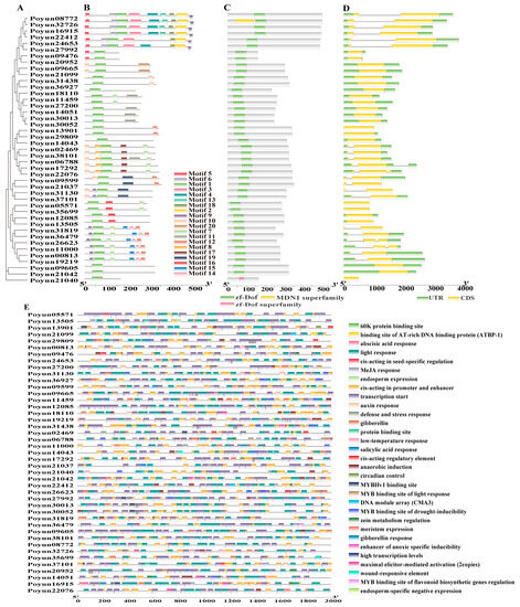 IJMS | Free Full-Text | Function and Characteristic Analysis of ...