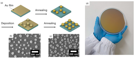 Dual-Dewetting Process for Self-Assembled Nanoparticle Clusters in ...