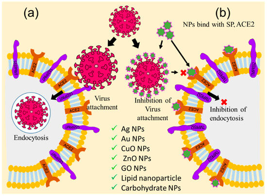 IJMS | Free Full-Text | Nano-Enabled Antivirals for Overcoming Antibody ...