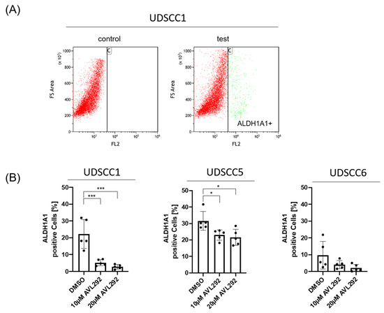 Influence of Bruton’s Tyrosine Kinase (BTK) on Epithelial–Mesenchymal ...