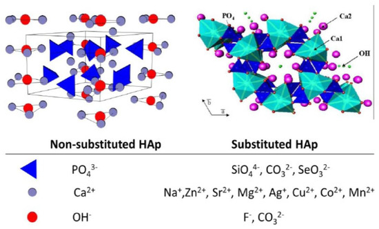 Latest Research of Doped Hydroxyapatite for Bone Tissue Engineering