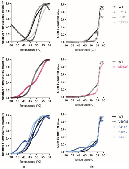 Glutaryl-CoA Dehydrogenase Misfolding in Glutaric Acidemia Type 1