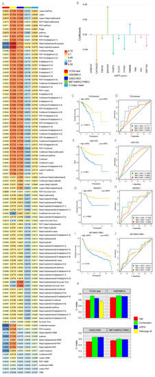 Construction of a Matrix Cancer-Associated Fibroblast Signature Gene ...