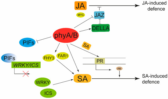 Functions of Plant Phytochrome Signaling Pathways in Adaptation to ...