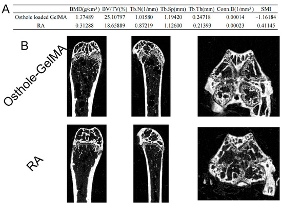 GelMA Hydrogel as a Promising Delivery System for Osthole in the ...