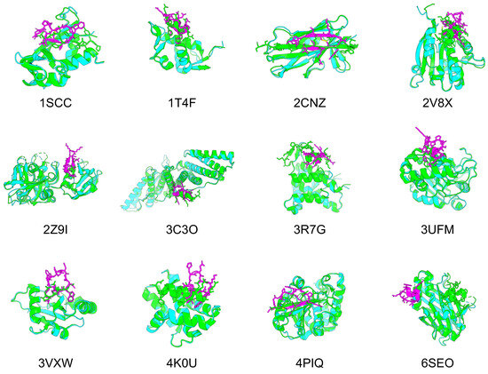 Design of Cyclic Peptides Targeting Protein–Protein Interactions Using ...