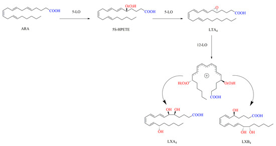 Promising Anti-Inflammatory Tools: Biomedical Efficacy of Lipoxins and ...