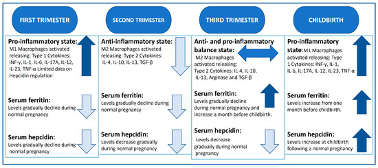 The Ferritin, Hepcidin and Cytokines Link in the Diagnoses of Iron ...