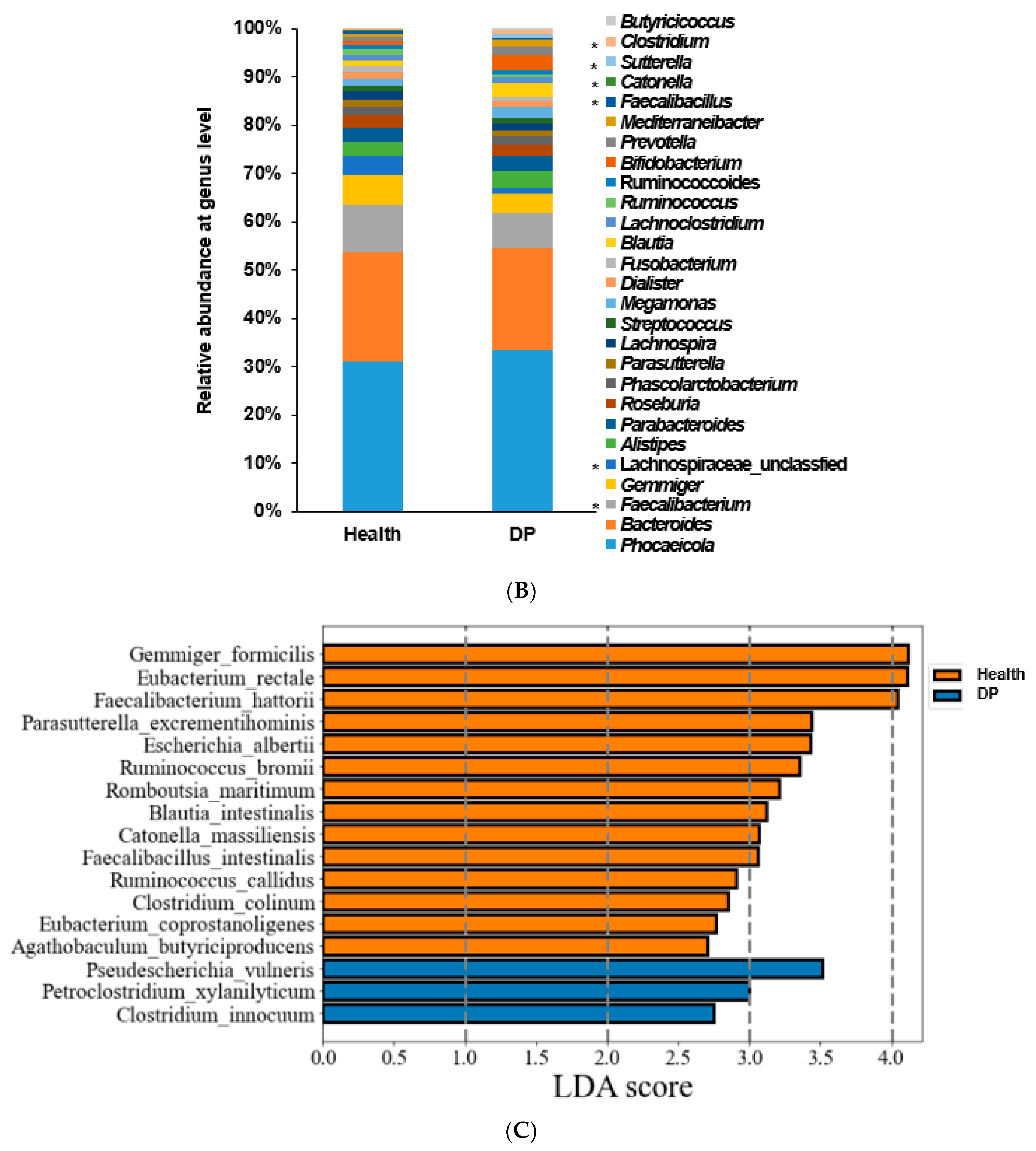 Gut Microbiota Alterations and Their Functional Differences in ...