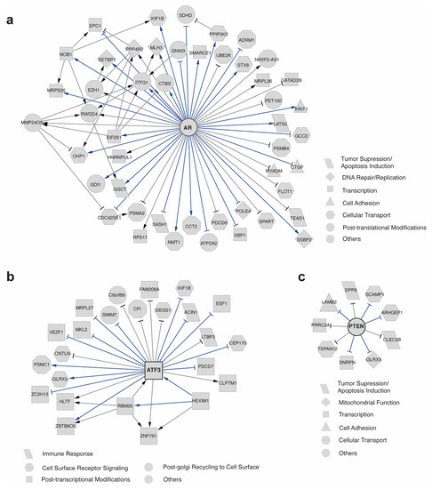 scTIGER: A Deep-Learning Method for Inferring Gene Regulatory Networks ...