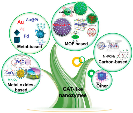 Recent Advances in Nanozyme-Mediated Strategies for Pathogen Detection ...