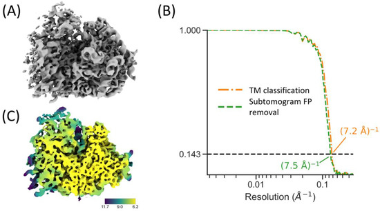 Extensive Angular Sampling Enables the Sensitive Localization of Macromolecules in Electron ...