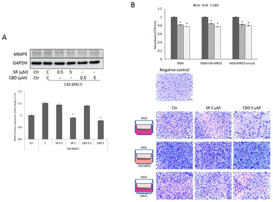Rimonabant and Cannabidiol Rewrite the Interactions between Rimonabant and Cannabidiol Rewrite the Interactions between
