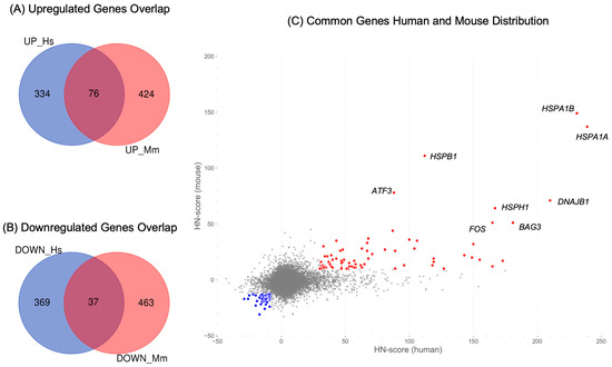 IJMS | Free Full-Text | Meta-Analysis of Heat-Stressed Transcriptomes ...