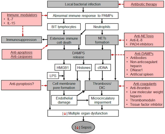 Neutrophils and the Systemic Inflammatory Response Syndrome (SIRS)