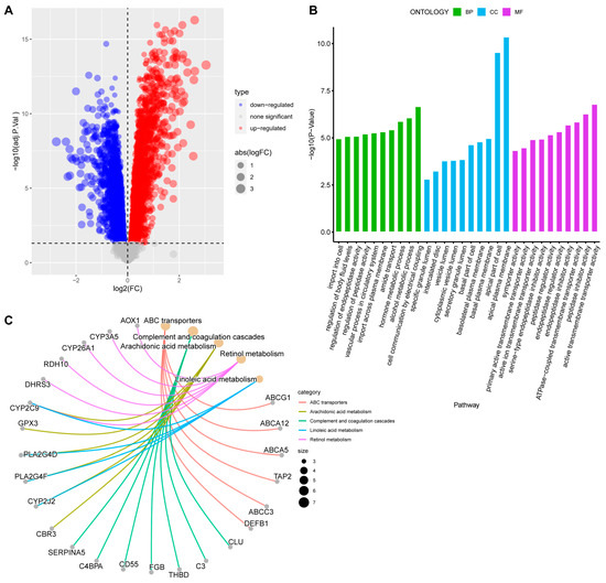 IJMS | Free Full-Text | Recurrent Implantation Failure: Bioinformatic ...