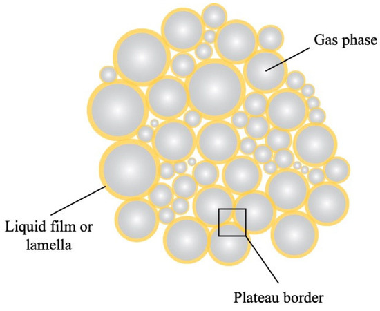 IJMS | Free Full-Text | Perspectives on Saponins: Food Functionality ...