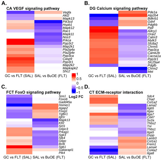 Spaceflight-Induced Gene Expression Profiles in the Mouse Brain Are ...