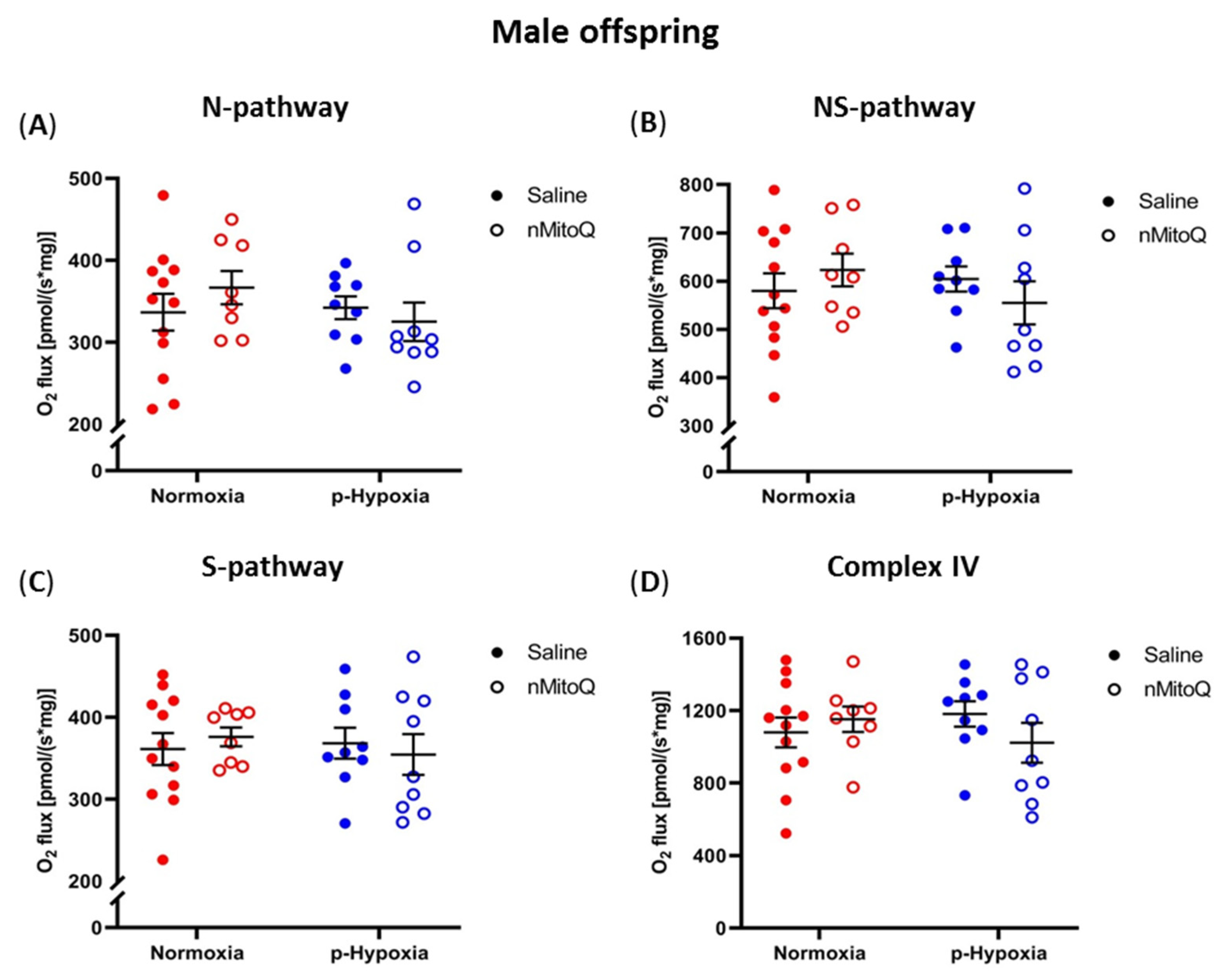 Ijms Free Full Text Sex Specific Effects Of Prenatal Hypoxia And A