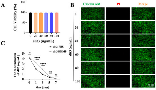 Slit Guidance Ligand 3 (SLIT3) Loaded in Hydrogel Microparticles ...