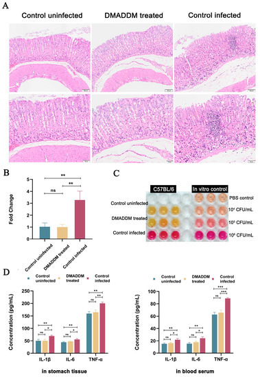 Dimethylaminododecyl Methacrylate-Incorporated Dental Materials Could ...